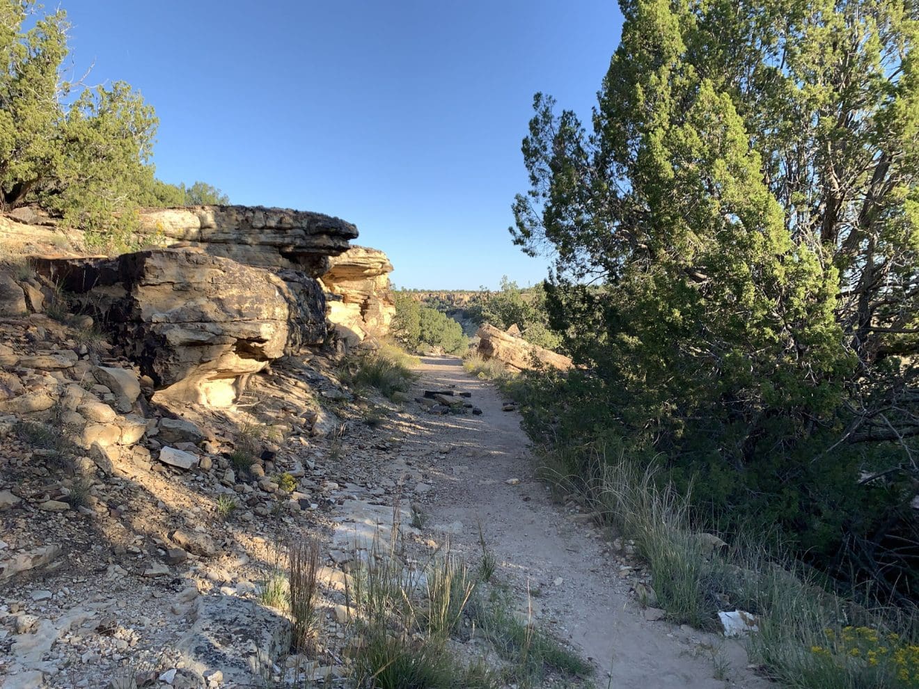 Picket Wire Trail - Dinosaur Tracksite & Dolores Mission and Cemetery ...