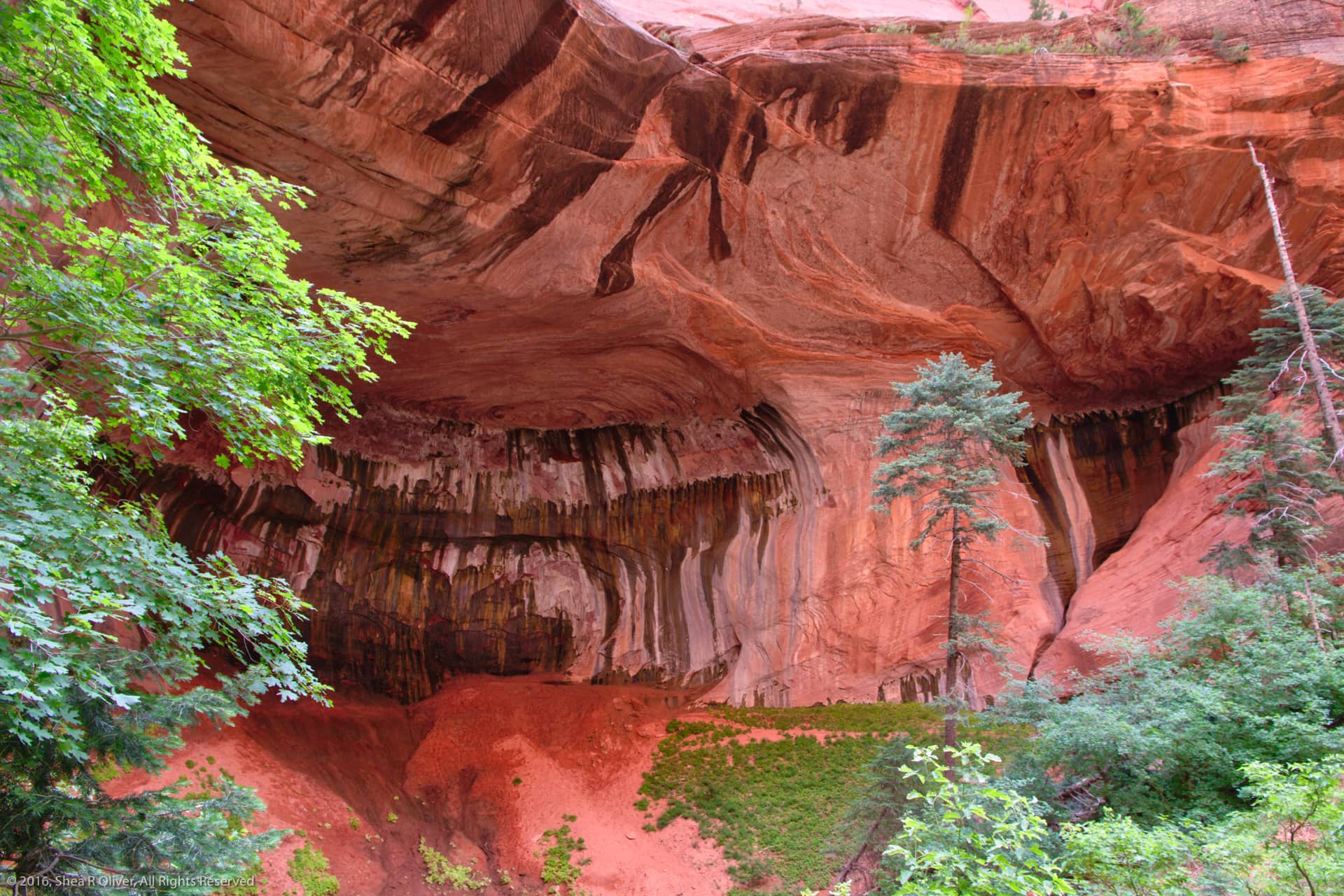Hiking to The Double Arch Alcove in Zion National Park